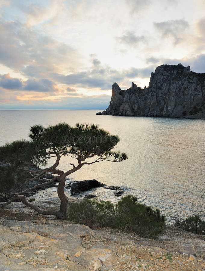 The sea tree and mountains stock photo. Image of remote - 10424458