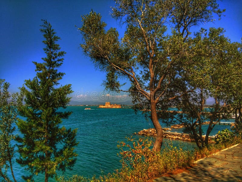 Sea tree stock image. Image of forest, landscape, green - 91501539