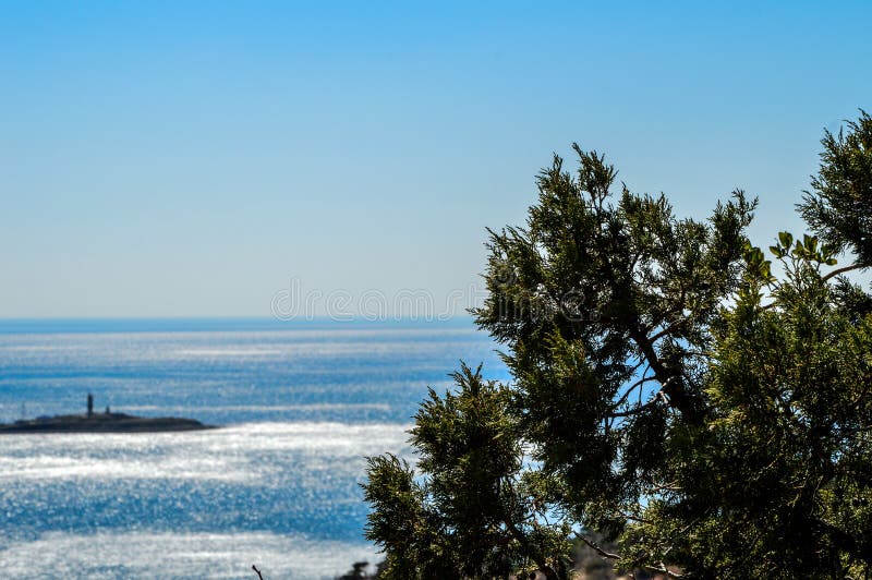 Sea and tree stock image. Image of green, blue, tree - 143646229