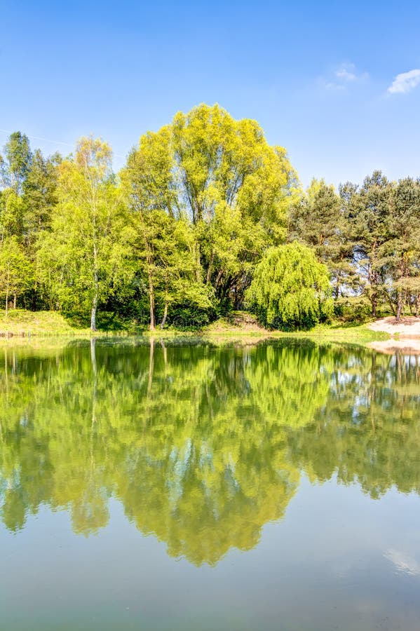 Sea with trees stock photo. Image of colourful, mirroring - 79553396