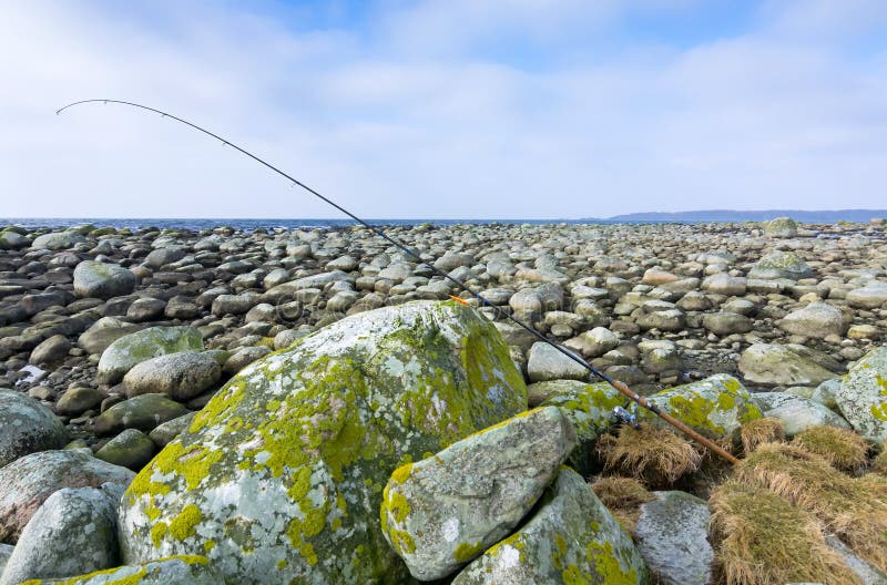 Sea trout fishing area stock image. Image of sport, natural - 38224297