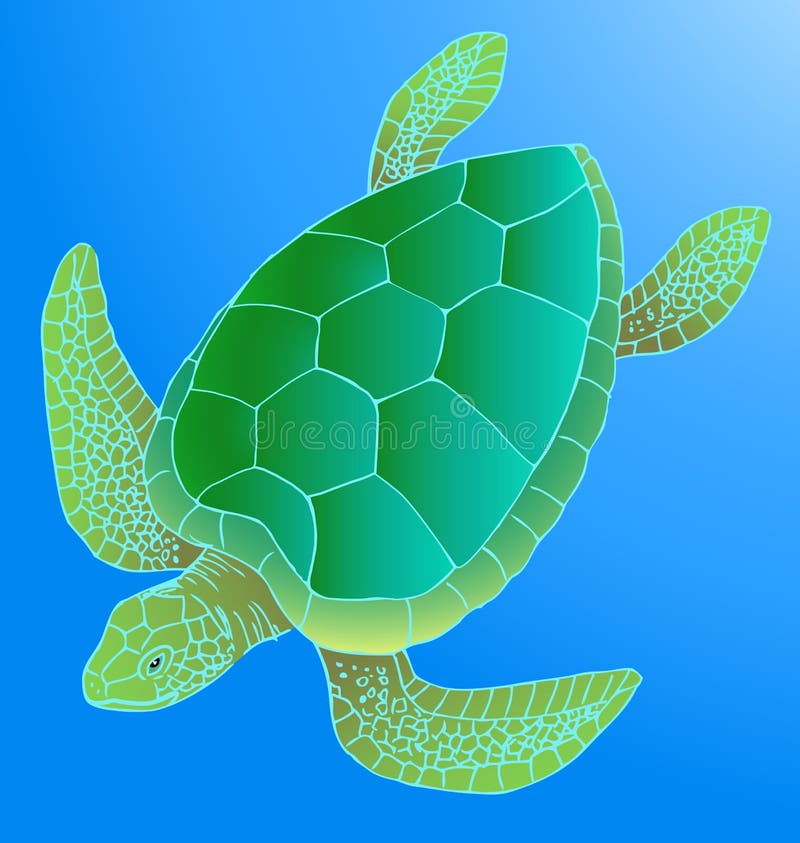 Sea Turtle Blue and Turquoise Vector Illustration Stock Vector ...