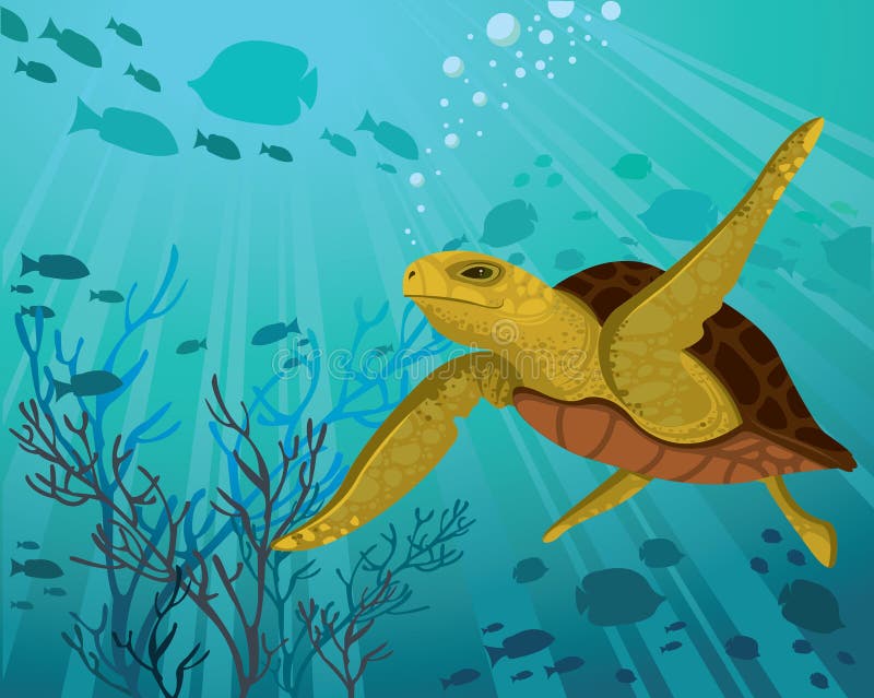 Turtle, Coral Reef, Underwater Cave and Cave. Underwater Sea. Stock ...