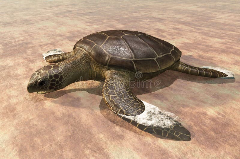 Sea Turtle on the Beach 3d Rendering Stock Illustration - Illustration ...