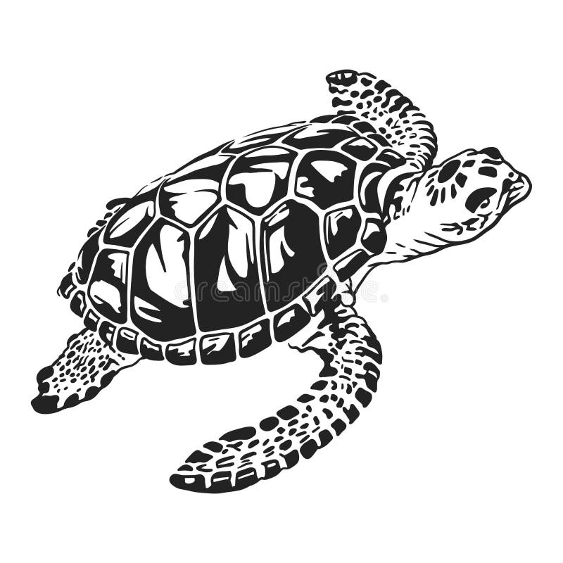 Sea Turtle Silhouette Clip Art Stock Illustrations – 441 Sea Turtle ...