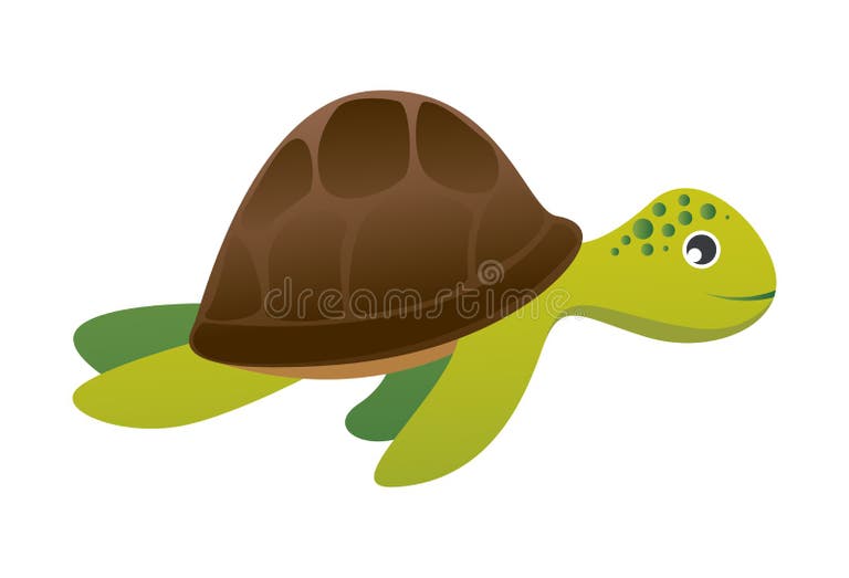 Sea Turtle Cartoon Character . Vector Stock Vector - Illustration of ...