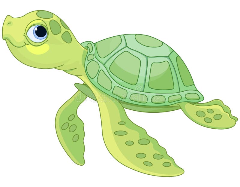 Turtle Stock Illustrations – 109,226 Turtle Stock Illustrations ...
