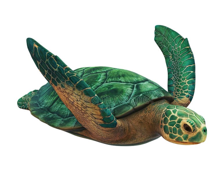 Sea Turtle 3d Stock Illustrations – 2,451 Sea Turtle 3d Stock ...