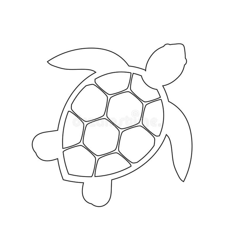 Sea Turtle Thin Line Icon, Ocean Animals Concept, Tortoise Sign on ...