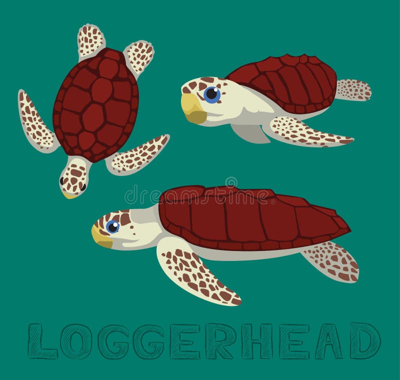 Sea Turtle Loggerhead Cartoon Vector Illustration Stock Vector ...
