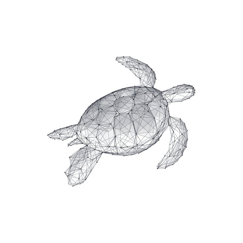 Turtle, Low Poly ,on White Background Stock Vector - Illustration of ...