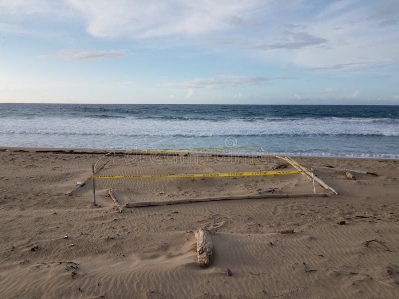 Sea Turtle Nesting Area - Isla Isabela, Galapagos, Ecuador Stock Image ...