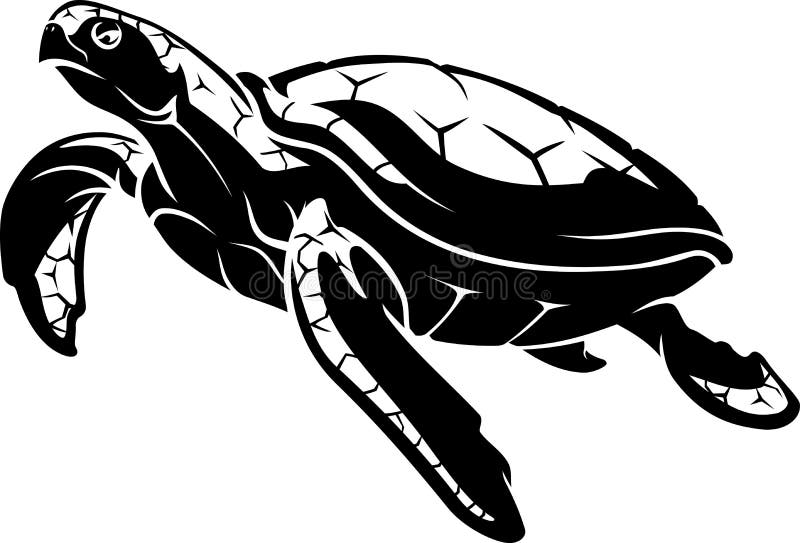 Vector Side View Turtle Stock Illustrations – 167 Vector Side View ...