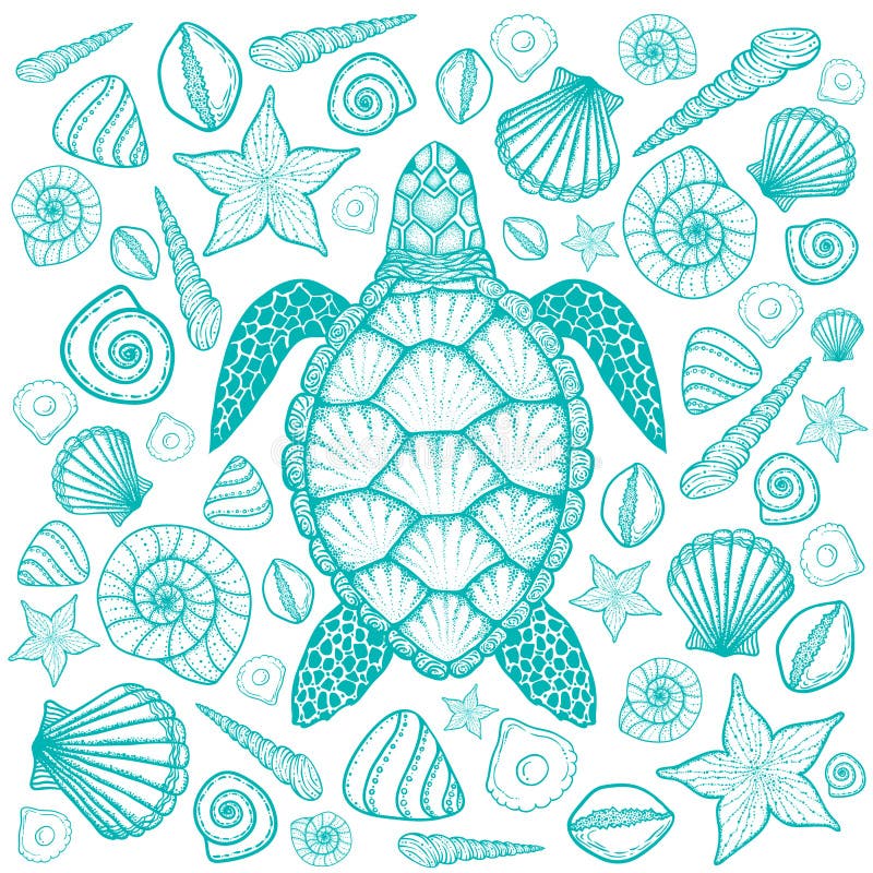Sea Turtle and Shells in Line Art Style. Hand Drawn Vector Illustration ...