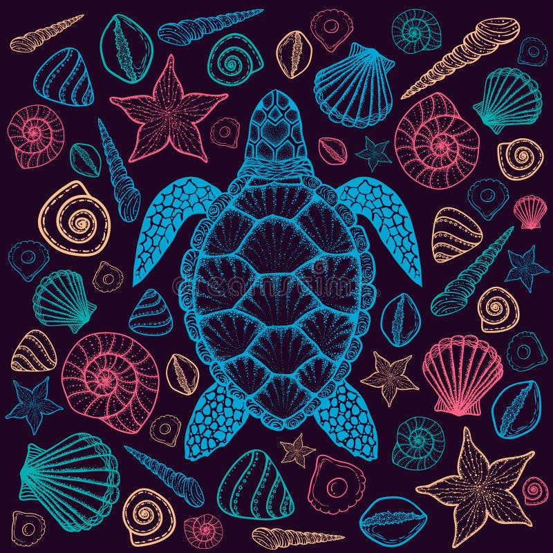Sea Turtle and Shells in Line Art Style. Hand Drawn Vector Illustration ...