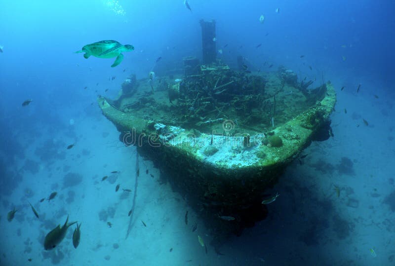A Sea Turtle and a Sunken Ship on the Island Stock Image - Image of ...