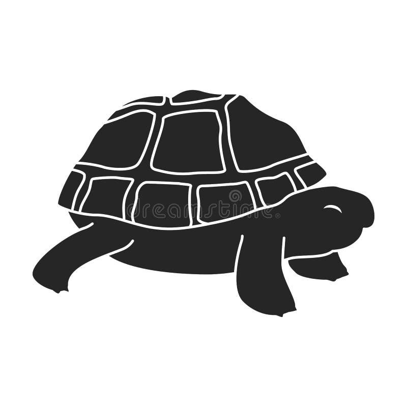 Turtle Black White Stock Illustrations – 5,776 Turtle Black White Stock ...