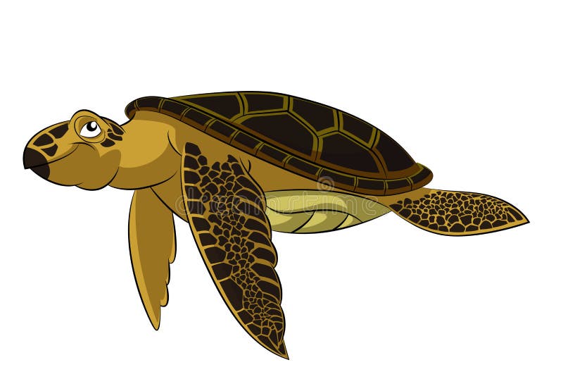 Loggerhead Sea Turtle Drawing