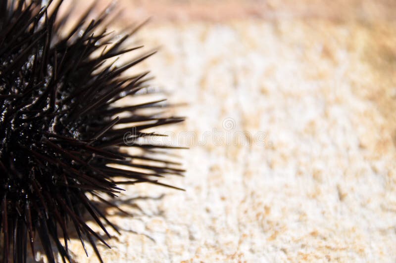 Axinos Stock Photos - Free & Royalty-Free Stock Photos from Dreamstime