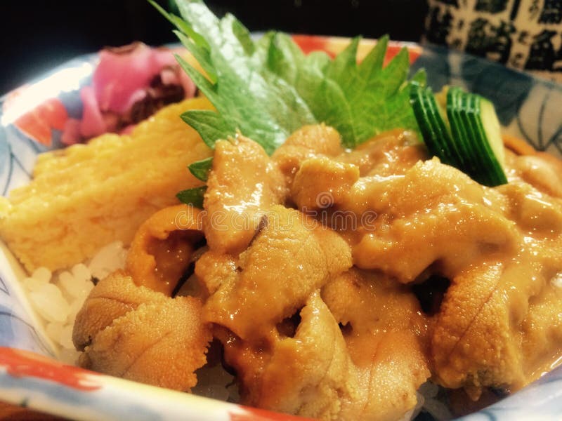 Sea urchin with rice stock image. Image of fresh, restaurant - 238402199