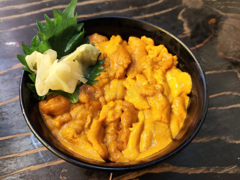 Sea urchin rice bowl stock photo. Image of food, natural - 323741318