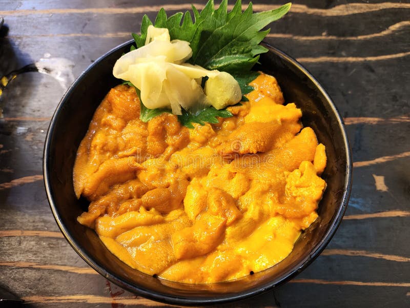 Sea urchin rice bowl stock photo. Image of donbri, asian - 327160250