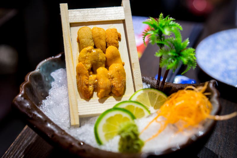 Sea urchin sashimi stock photo. Image of cool, urchin - 64176460