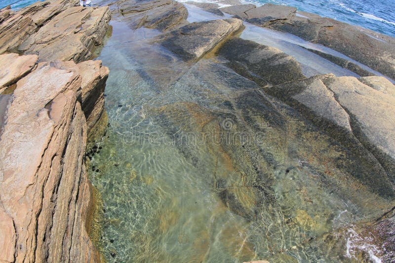 A Sea Urchin is on the Stone Near the Water Stock Image - Image of ...