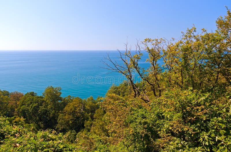 Sea View stock image. Image of trees, sand, summer, place - 29615791