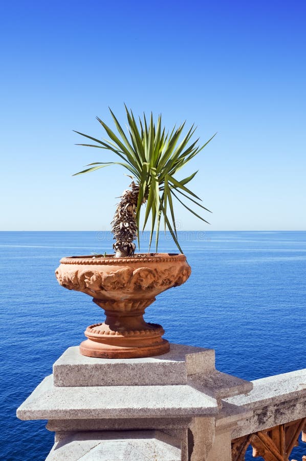 Terrace stock image. Image of vase, residence, flower, terrace - 882409