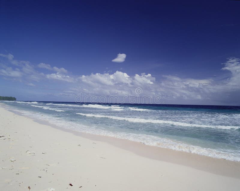 Sea View stock image. Image of travel, escape, florida - 81577313