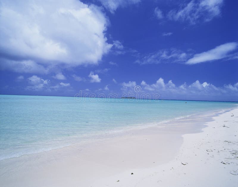 Sea View stock photo. Image of tropics, holiday, feel - 81580090