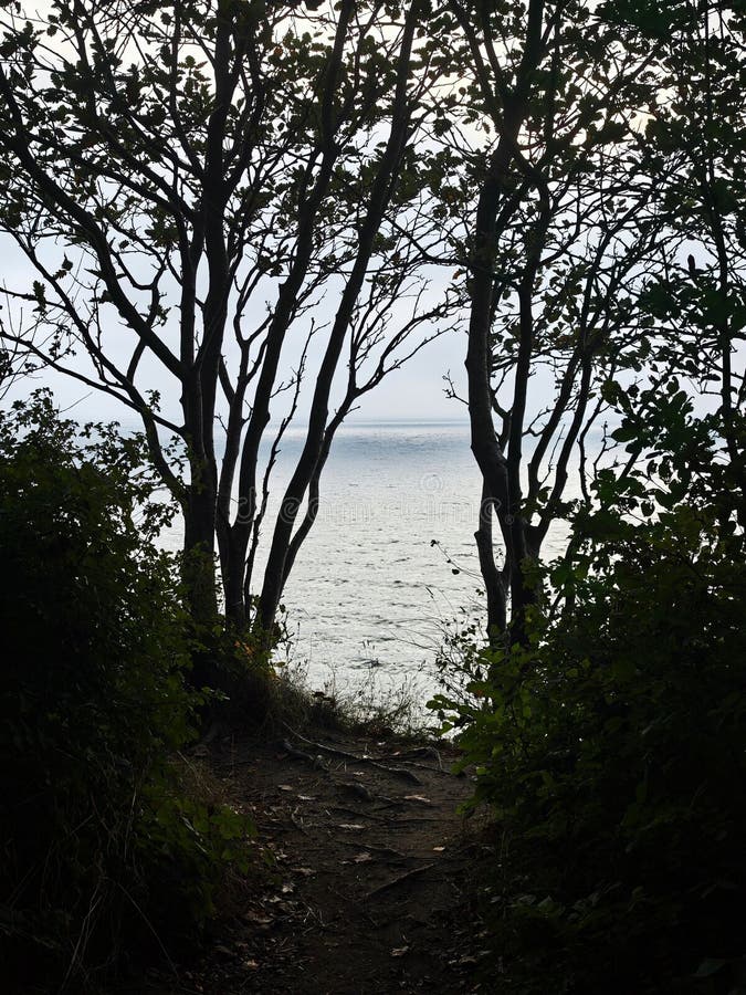 Sea View Framed with Greenery and Tree S Branches in Castle Palace ...
