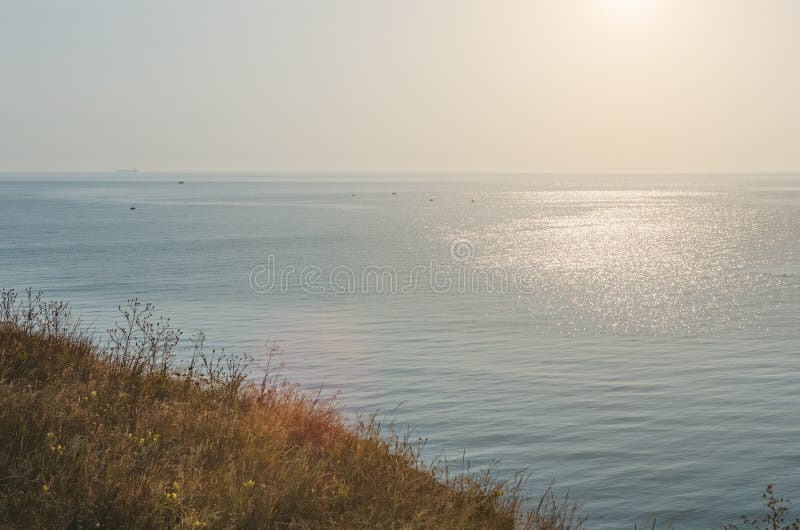 Sea View from a High Hill Overgrown with Wild Grass Stock Image - Image ...