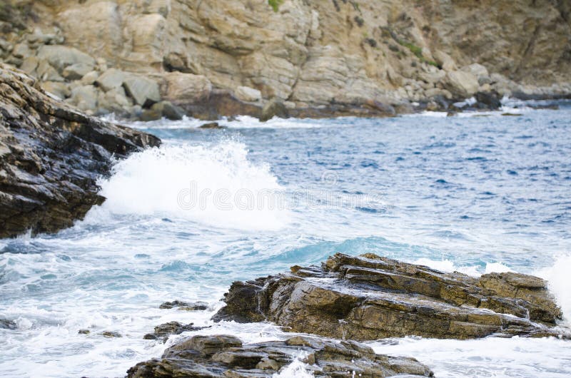 Sea view stock image. Image of tree, green, boat, clear - 102296213