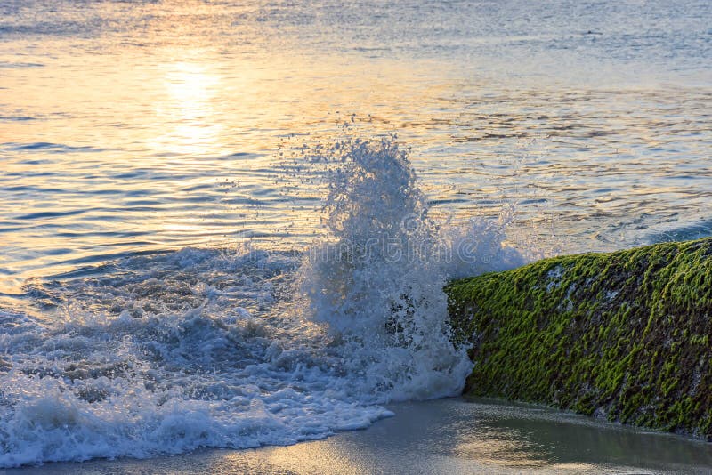 Sea water drops stock image. Image of nature, splash - 86850651