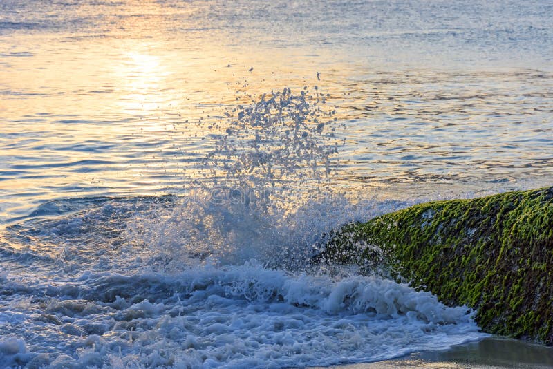 Sea water drops stock image. Image of nature, splash - 86850651