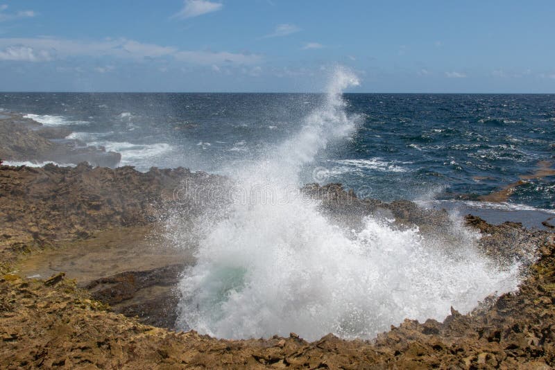 Sea Water Erupting from the Blow Hole Stock Photo - Image of eruption ...