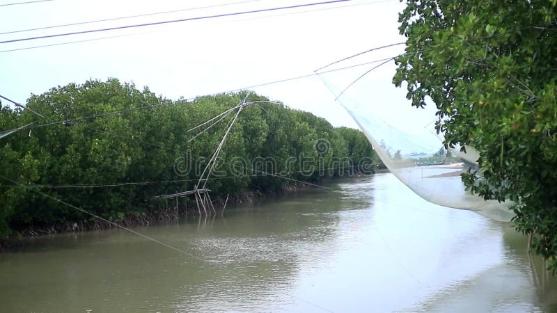 Sea Water that Has Mangrove Forests Around it Stock Footage - Video of ...