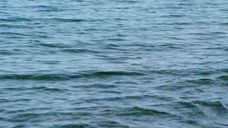 Sea Water Movements. Wave Pattern Standing on Blue Water. Amazing Water ...