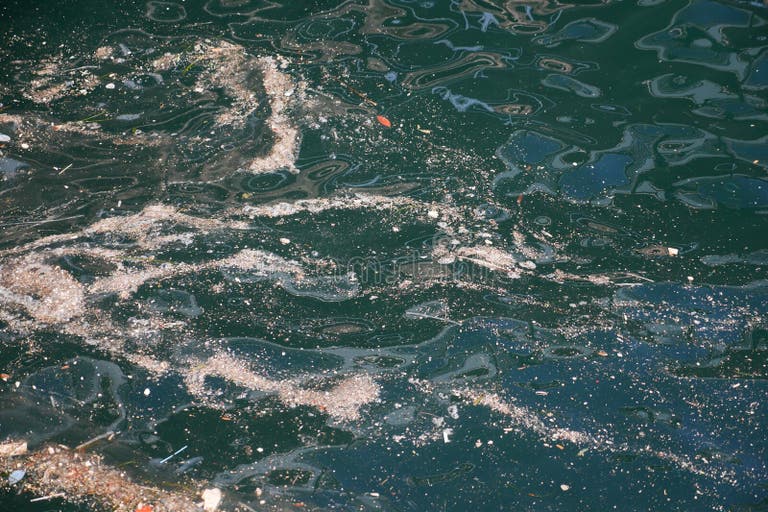 Sea Water Pollution with Garbage Stock Photo - Image of riverbank ...