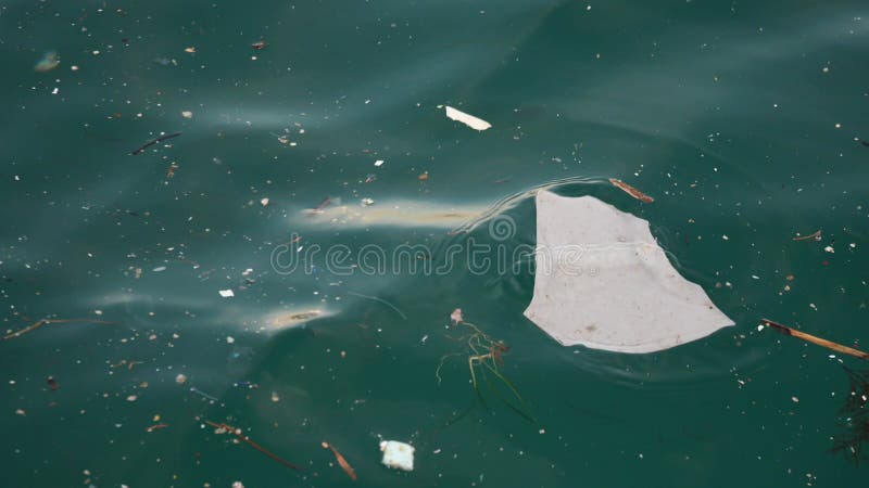 Water Pollution Visible in Urban Area Near Shoreline Stock Footage ...