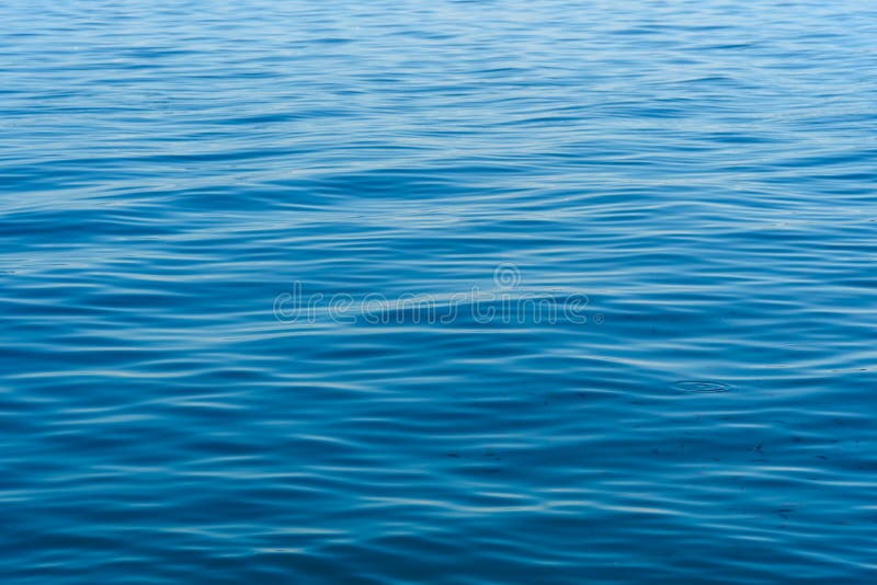 Sea Water with Smal Fish Background Stock Image - Image of santo, color ...