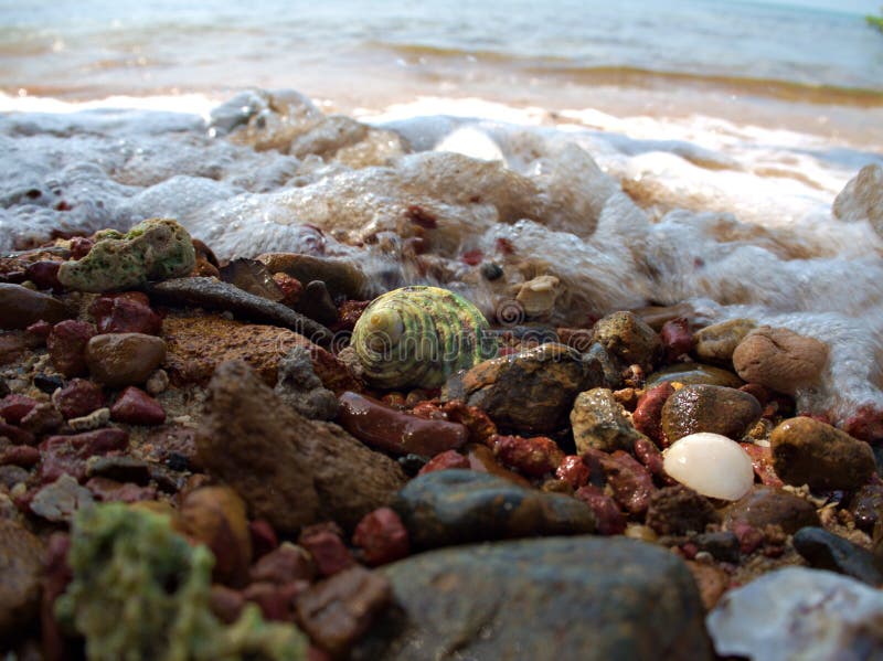 Sea Water Splash from Wave with Sea Stone and Shells Stock Photo ...