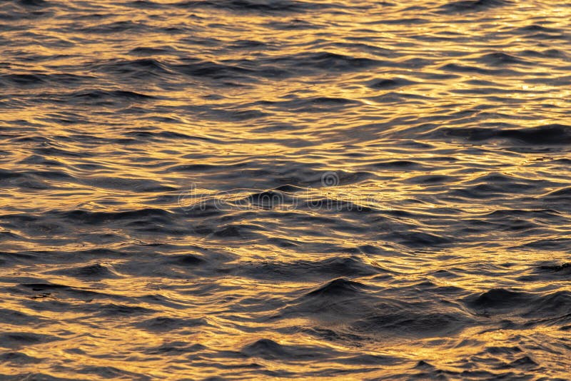 Orange Waves in the Sunset Light Stock Image - Image of view, nature ...