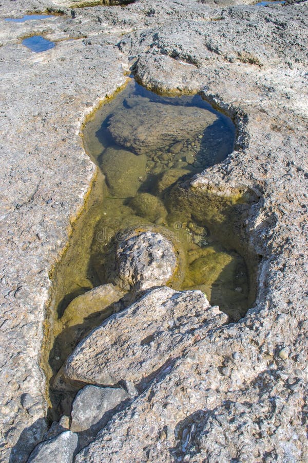 Sea water in the trough stock photo. Image of marine - 153477320