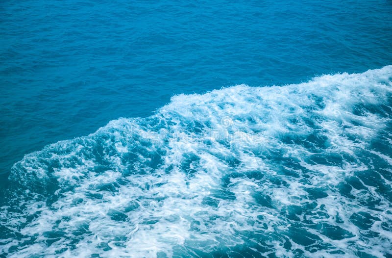 Sea Wave Sponge Salt Water Naturesea Wave Sponge Salt Water Naturesea ...