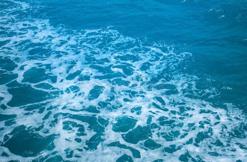 Sea Wave Sponge Salt Water Naturesea Wave Sponge Salt Water Nature ...