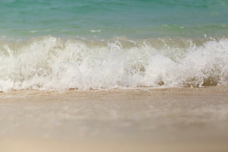 Sea Wave Swash on Sand Beach Stock Photo - Image of scene, drop: 68827008
