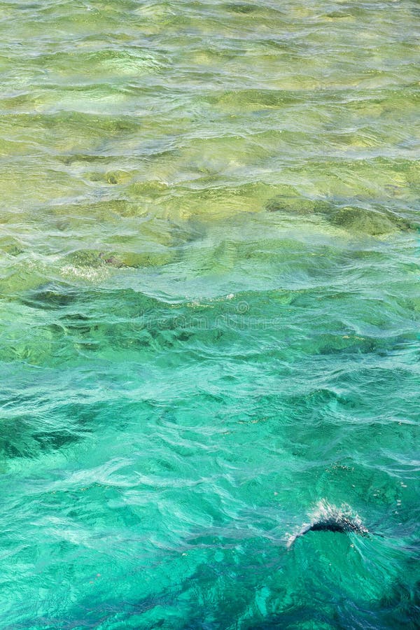 Sea Waves. Blue Water for Background. Emerald-colored Sea Water Stock ...